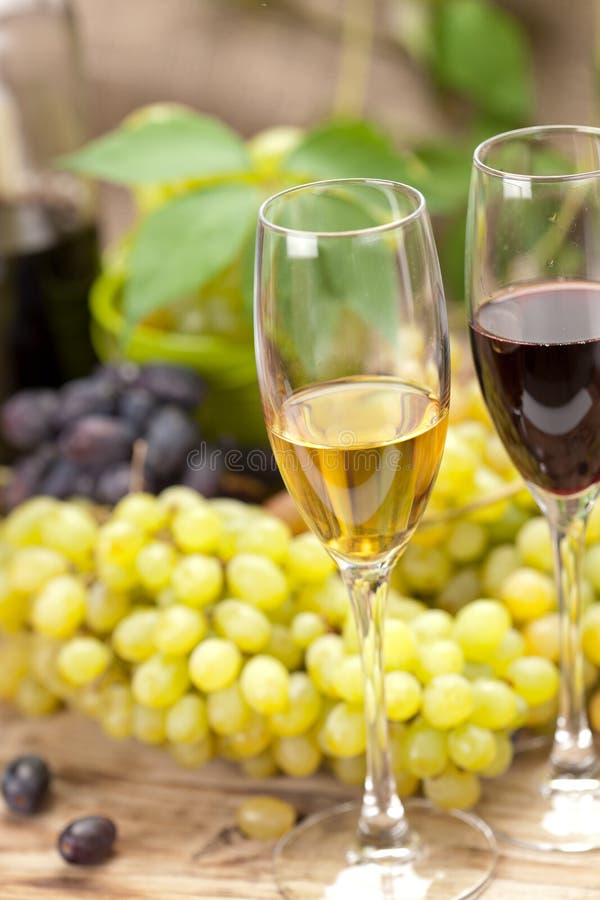 Wine sampling stock photo. Image of grape, leaves, tuscany - 21439488