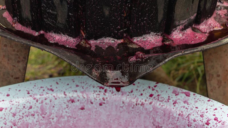 A Wine Squeezer Close Up - in the Process of Making Red Wine Concept ...