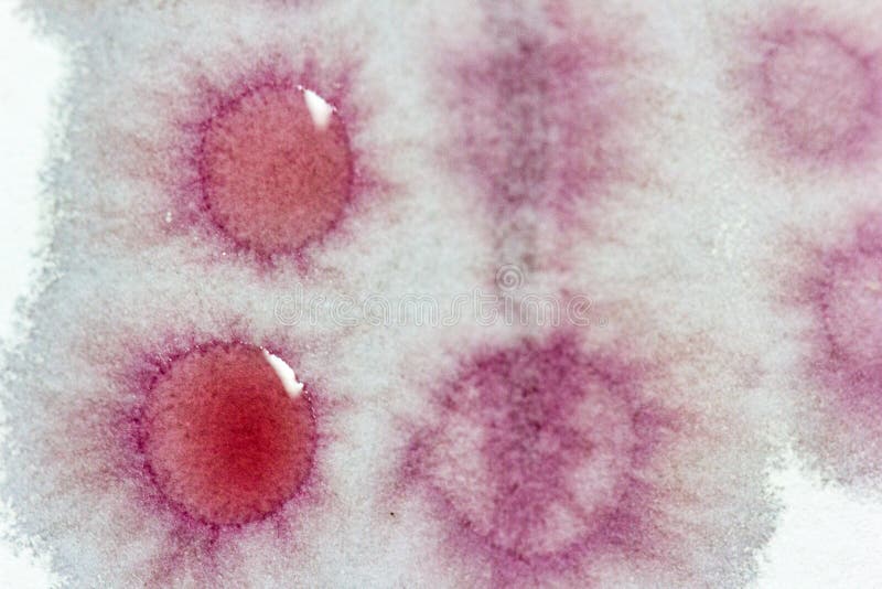 Wine Stain on White Sheet. Graphic Resource Stock Illustration ...