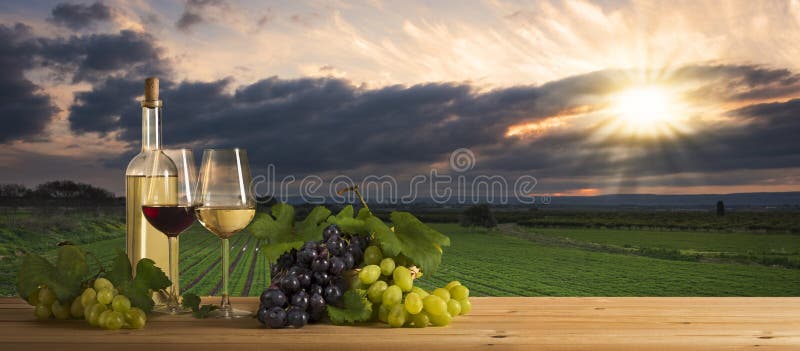 Wine at sunset, landscape stock image. Image of alcohol - 98648683
