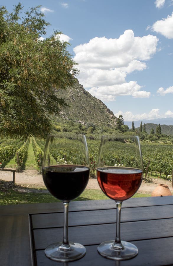 Wine Tasting in Cafayate, Salta, Argentina Stock Image - Image of latin ...