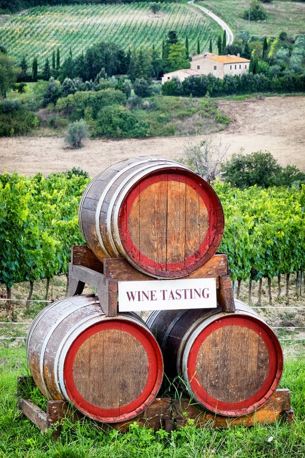 Wine tasting stock image. Image of color, autumn, vineyard - 45921731