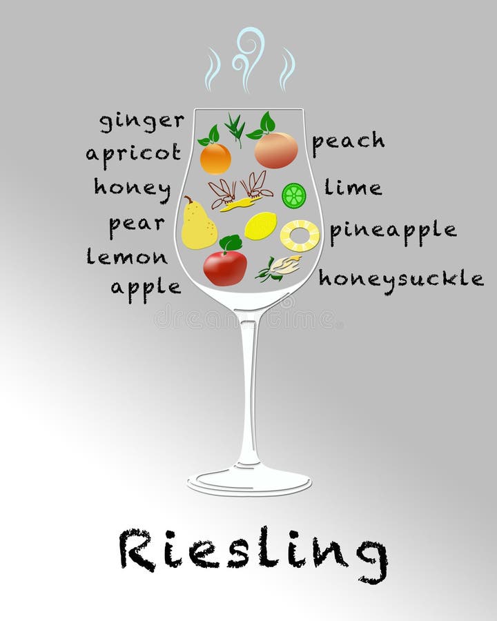 Wine Tasting Notes stock illustration. Illustration of fruity - 73614826