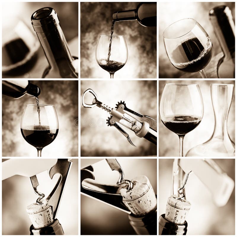 Wine Tasting stock image. Image of board, colourful, wine - 16417103