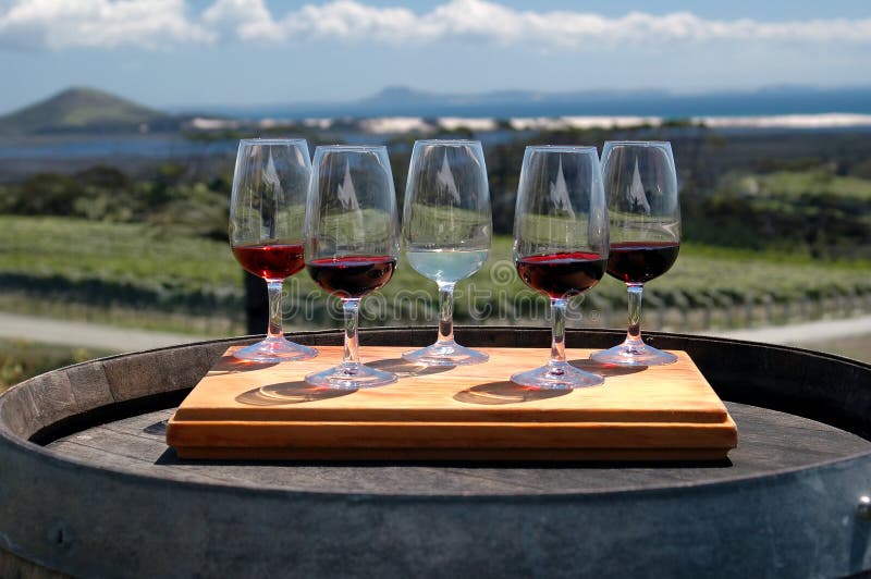 Wine Tasting - Vineyard stock photo. Image of five, tray - 610474