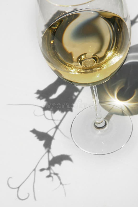 Wine and Vine stock image. Image of shaodow, green, grape - 2785049