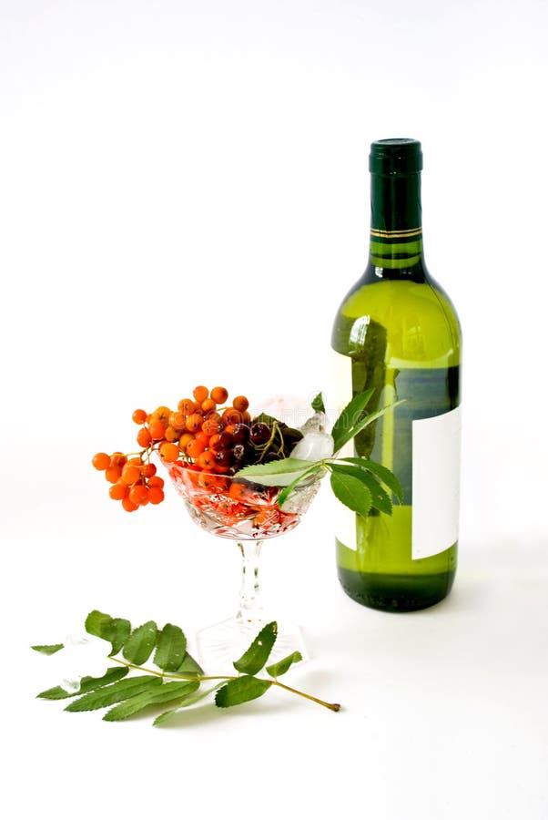 Wine and wild ash stock photo. Image of dinner, cork - 10976816