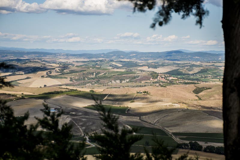 Wine Yard Overview Italy Tuscany Stock Image - Image of field, growing ...