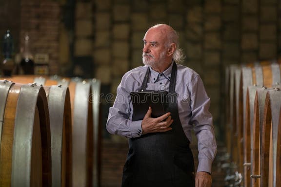 Winemaker Checking a Wine Aging in Barrels Data, Using a Touchpad ...