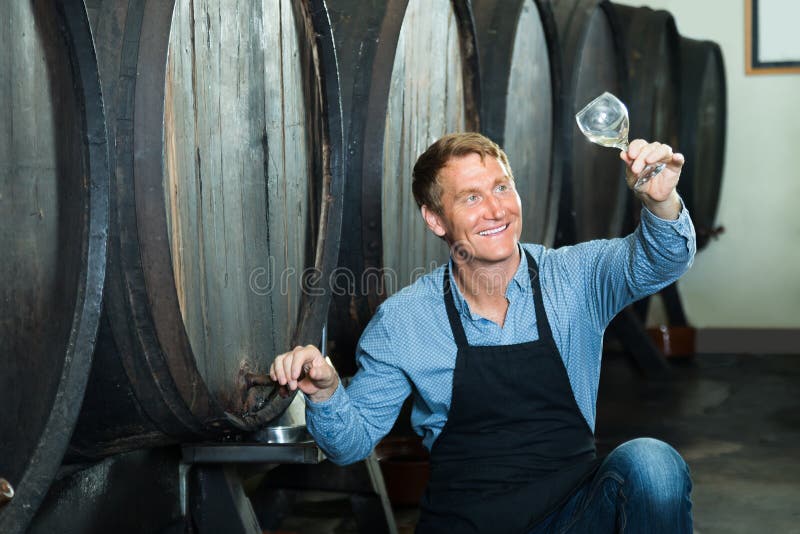 Winemaker Holding Glass of Wine in Cellar Stock Image - Image of buying ...