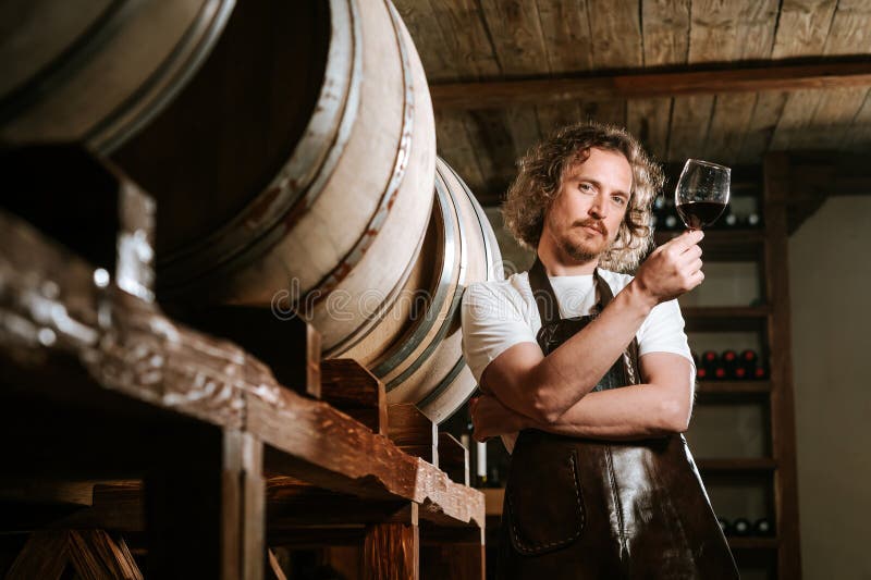 Winemaker Inspecting Red Wine in Cellar Stock Photo - Image of barrels ...