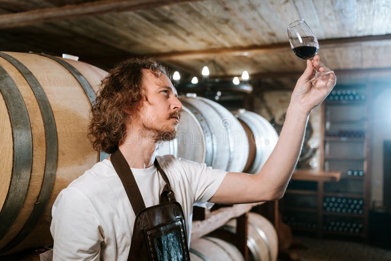 Winemaker Inspecting Red Wine in Cellar Stock Photo - Image of refined ...