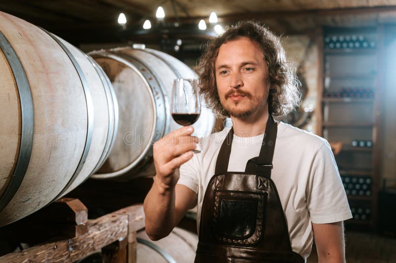 Winemaker Inspecting Red Wine in Cellar Stock Image - Image of alcohol ...