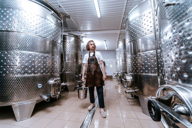 Winemaker Managing Wine Tanks in Modern Winery Facility Stock Photo ...