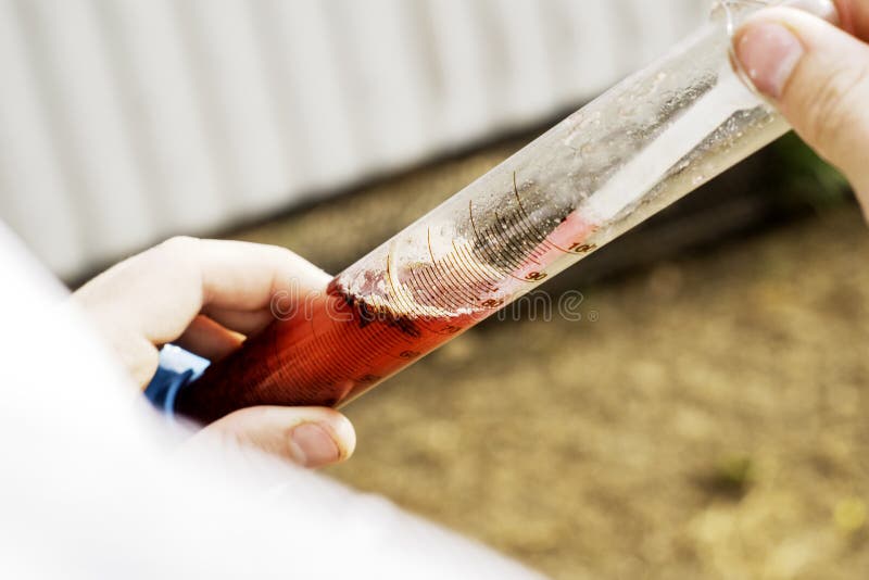 The Winemaker Measures the Sugar Content in Grape Juice Dials the Juice ...
