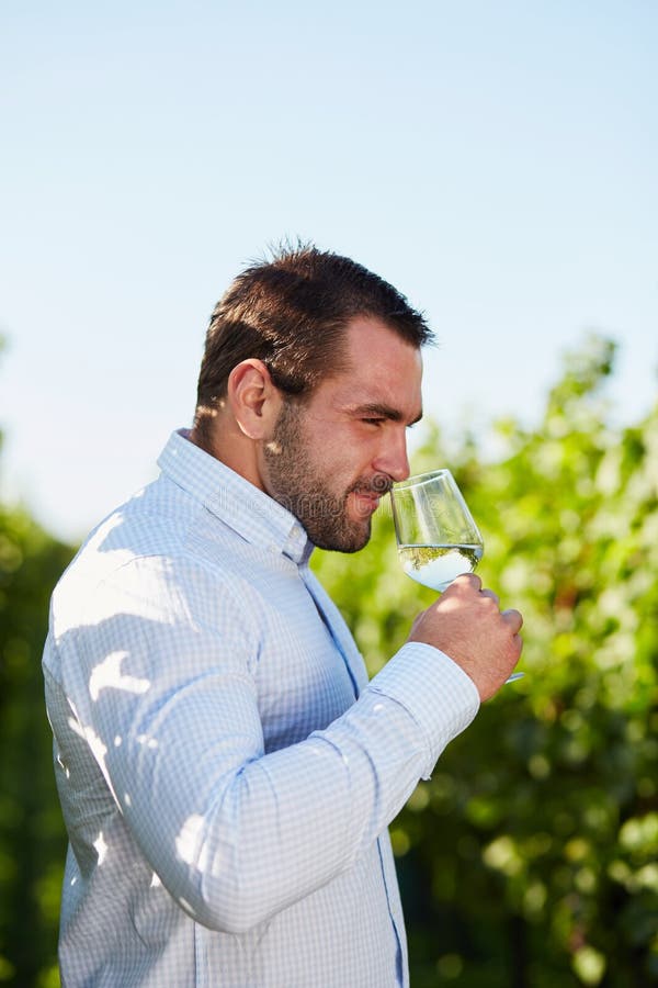 Winemaker tasting wine stock photo. Image of leisure - 60203554
