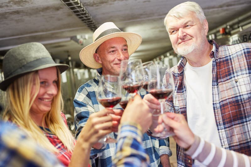 Winemaker Man Drinking Rose or Red Wine, Vineyard Stock Photo - Image ...