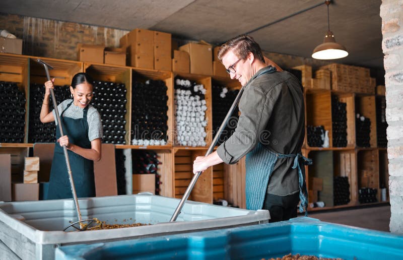 Winemaker Workers in the Process of Making Wine with a Wine Press Tool ...