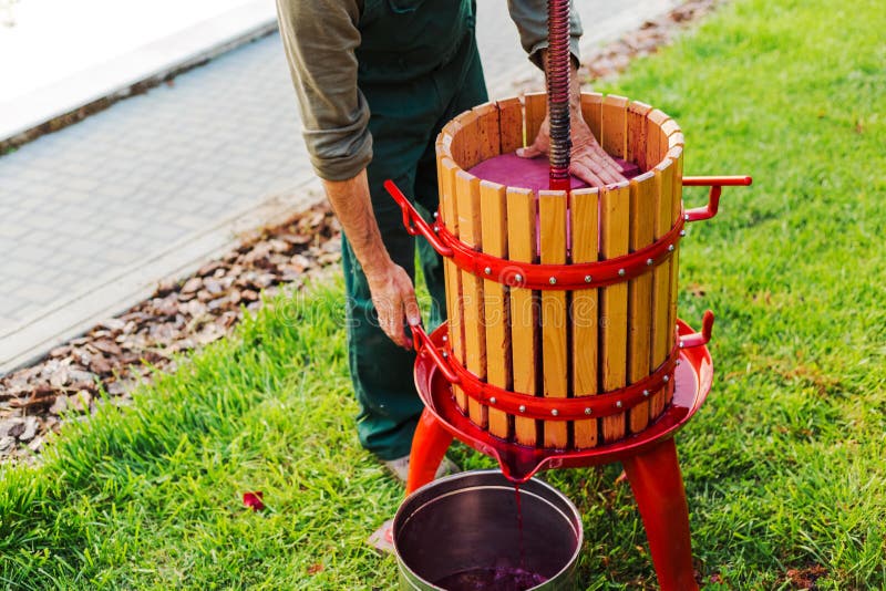 Winepress Machine, Crusher. Grape Harvest. Special Equipment for the ...