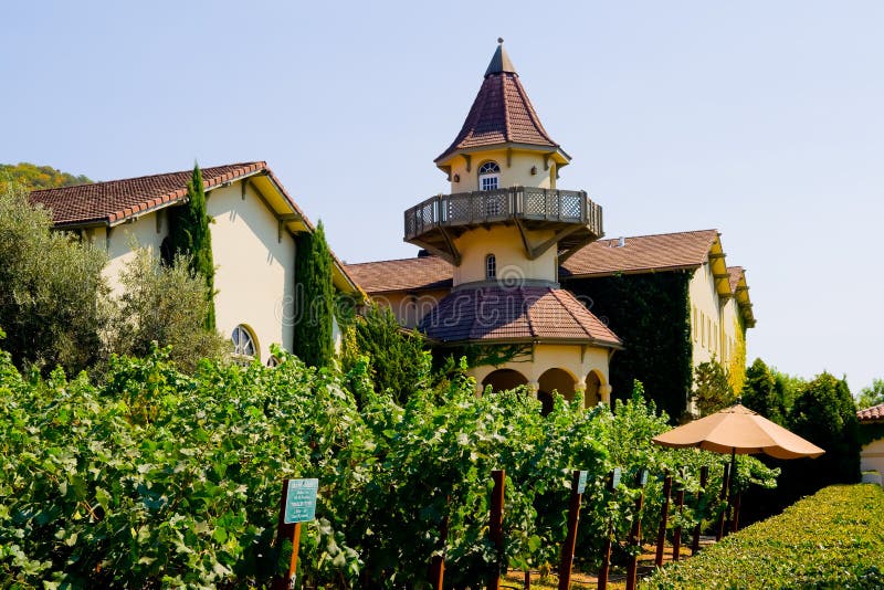 Winery stock photo. Image of daylight, plant, landscape - 4582414