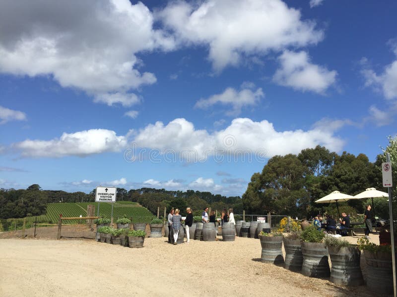 Winery editorial image. Image of scenery, barrels, vineyard - 64743375