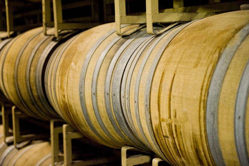 Winery barrels stock photo. Image of beverage, barrel - 39247678