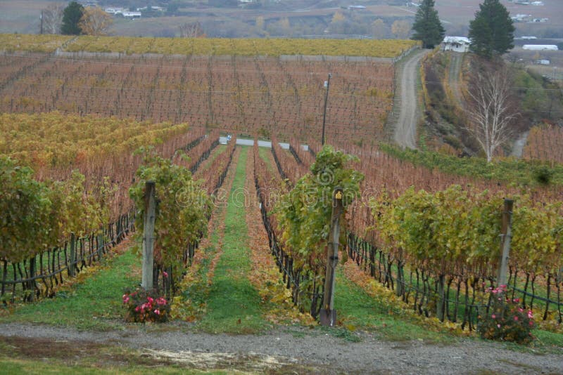 Winery in the fall stock photo. Image of grape, tasting - 35556712