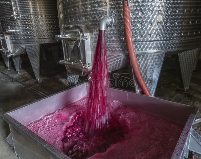 Winery Producing Wine, Grape Ju in Tank. Wine Fermentation Tanks. Wine ...