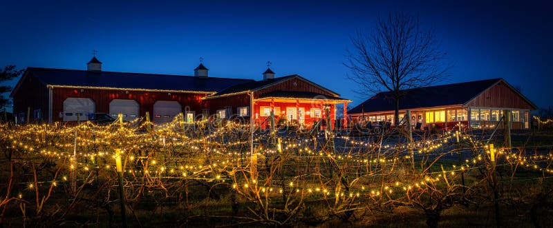 A Winery Surrounded by Holiday Lights in Front of a Red Barn Editorial ...