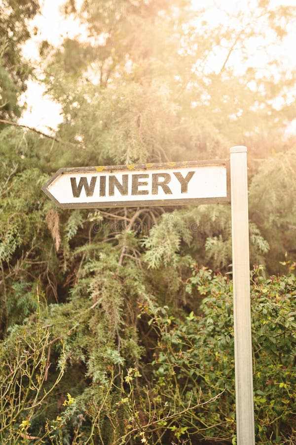 Winery Sign with Old Vines stock photo. Image of growing - 19781150
