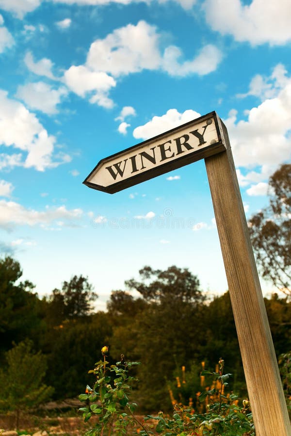 Winery Sign with Old Vines stock photo. Image of growing - 19781150