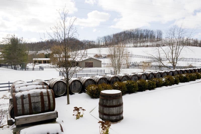 Vineyards Rows Covered by Snow in Winter at Sunset. Chianti, Siena ...