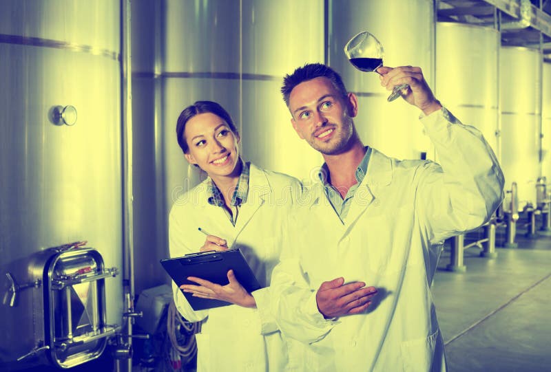 Winery Workers Taking Notes while Discussing Wine Sample Stock Photo ...