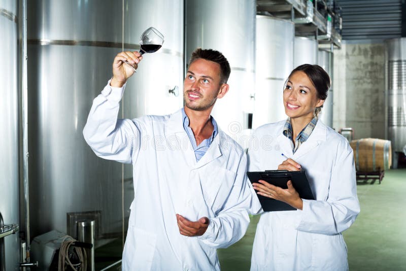 Winery Workers Taking Notes while Discussing Wine Sample Stock Photo ...