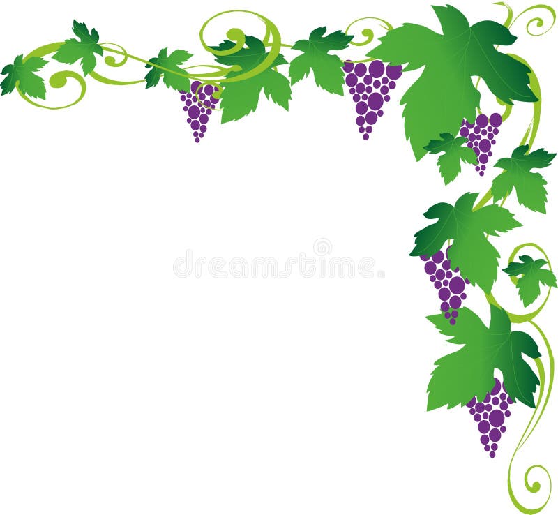 Grape Border Image Stock Illustrations – 2,939 Grape Border Image Stock ...