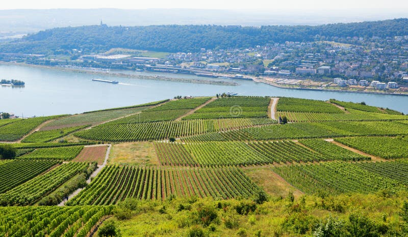 Rhine valley in Rudesheim stock image. Image of outdoors - 50271073
