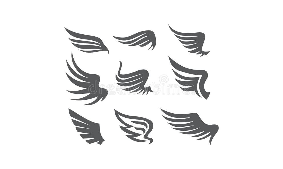 Wing Collection Set stock vector. Illustration of animal - 103226824