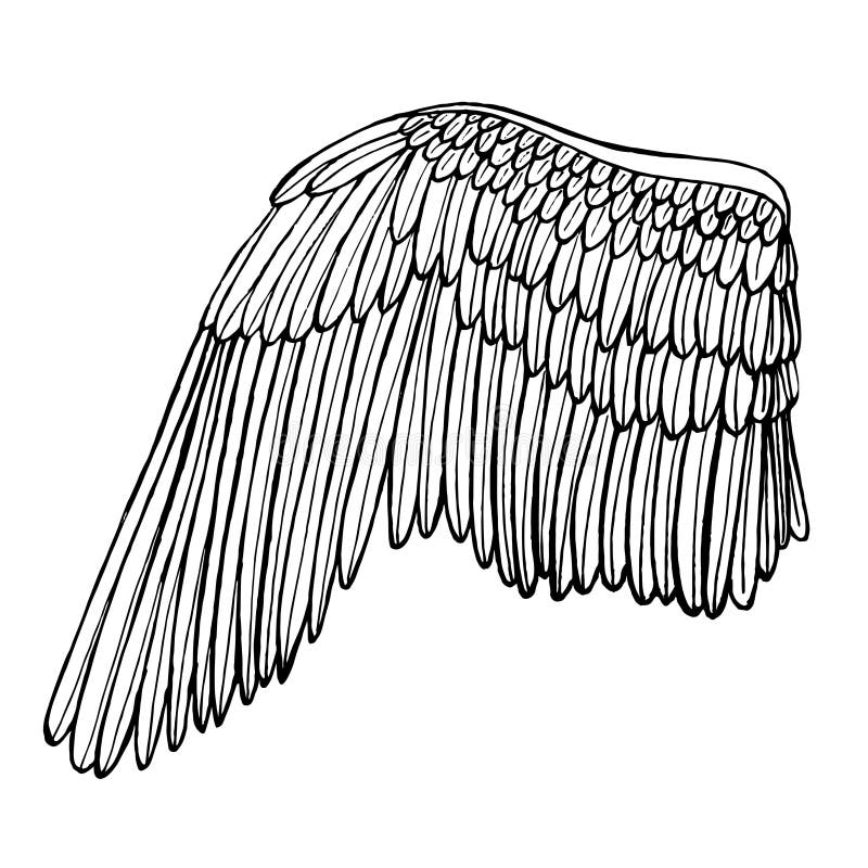 Wing Hand Draw Sketch Vector Ilustración del Vector - Ilustración de ...