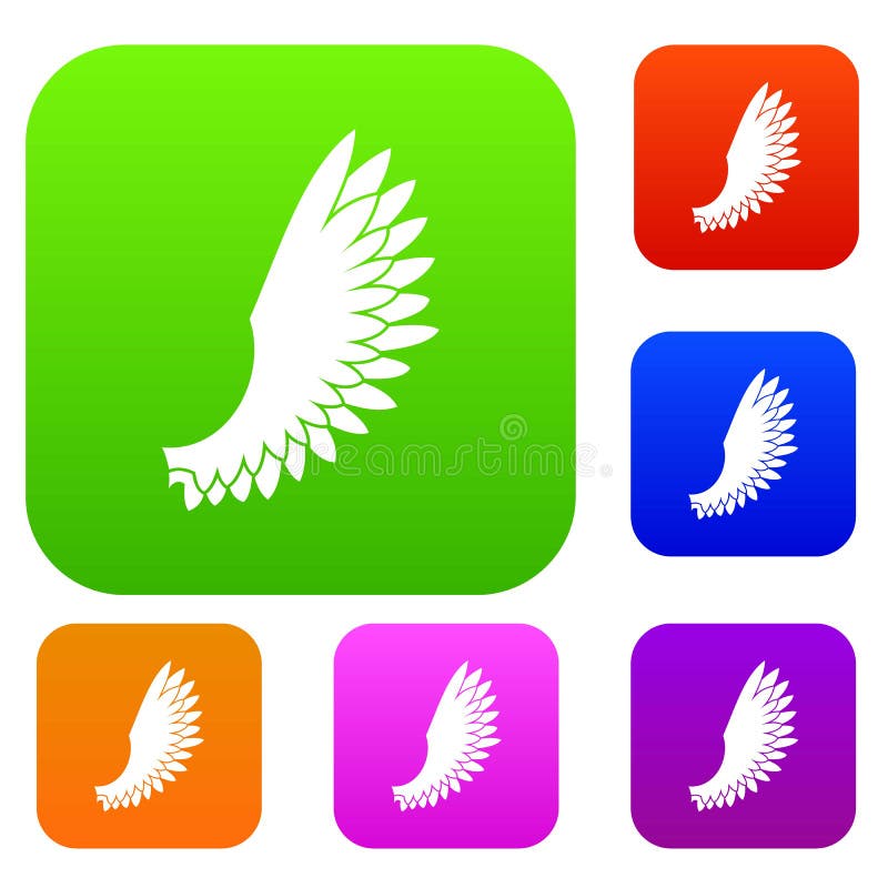 Wing set collection stock vector. Illustration of dove - 98008427