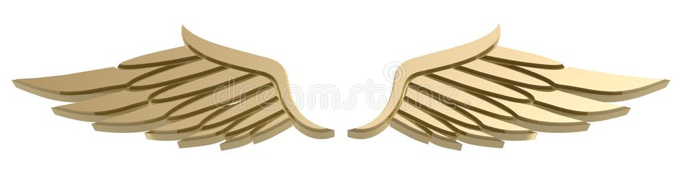 Angle Wing Stock Illustrations – 1,373 Angle Wing Stock Illustrations ...