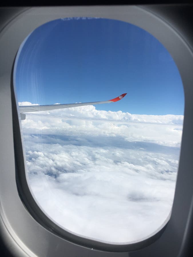 Wing tip from window stock photo. Image of window, wing - 187072114