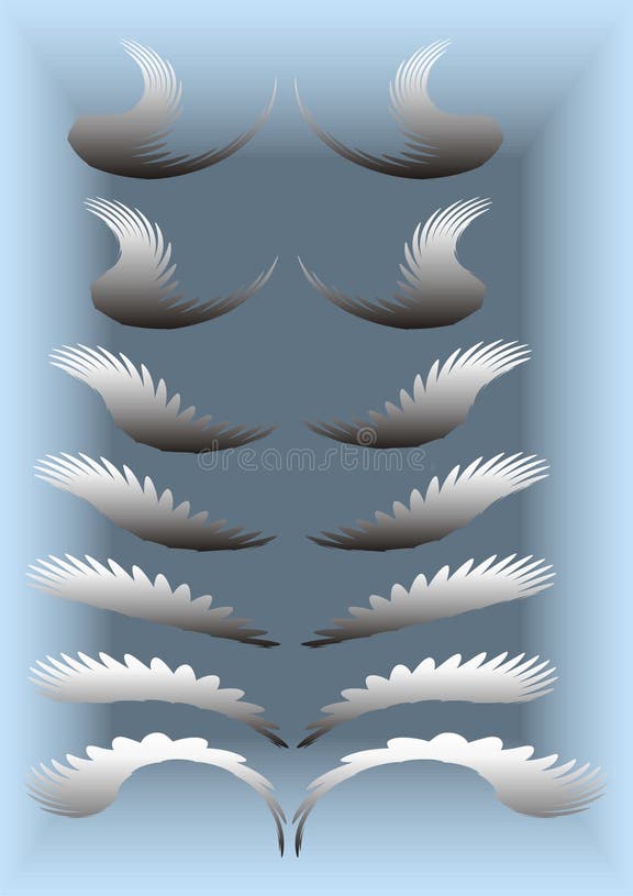 Wing wave stock vector. Illustration of amplitude, feather - 11257284