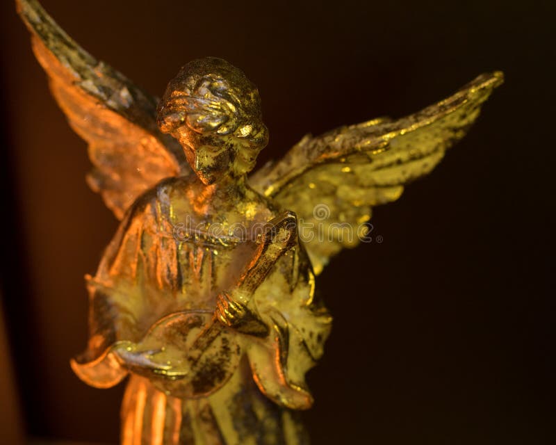 Winged Angel Playing Stringed Instrument Stock Photo - Image of glitter ...