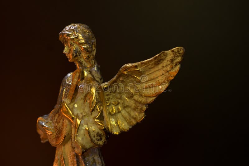 283 Angel Playing Instrument Stock Photos - Free & Royalty-Free Stock ...