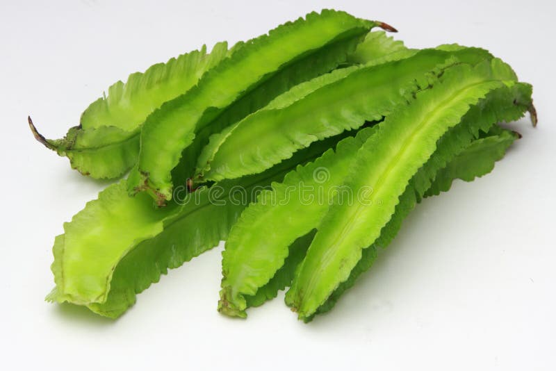 Winged bean stock photo. Image of harvest, nutrition - 21590454