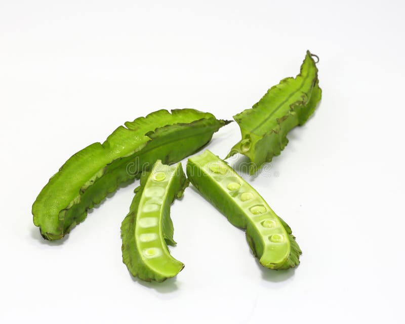 Winged Bean Goa bean stock photo. Image of asparagus - 65002488