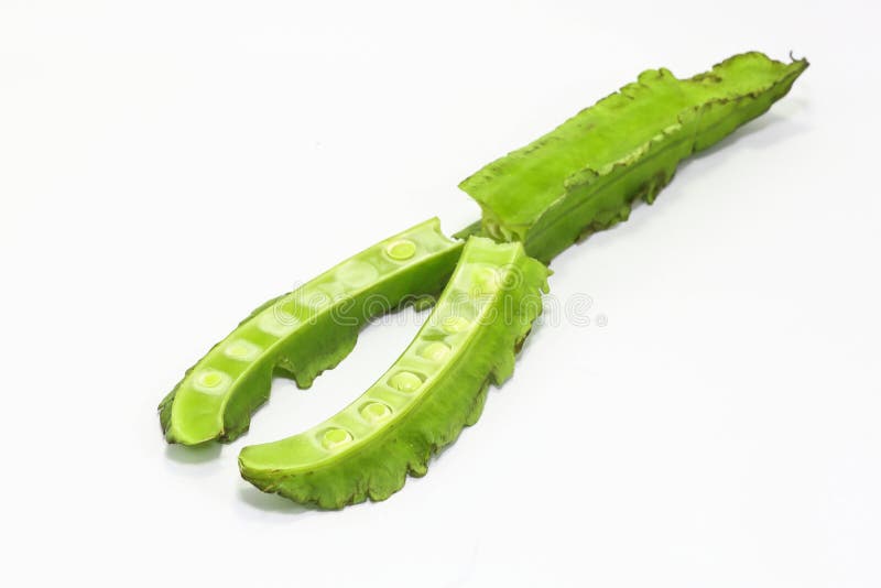 Winged Bean Goa bean stock photo. Image of horizontal - 65002492