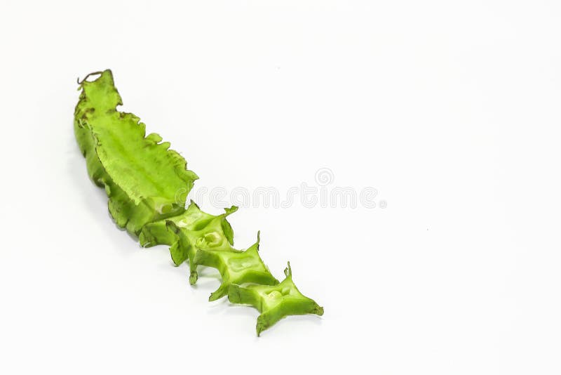 Winged Bean Goa bean stock image. Image of princess, natural - 65002497