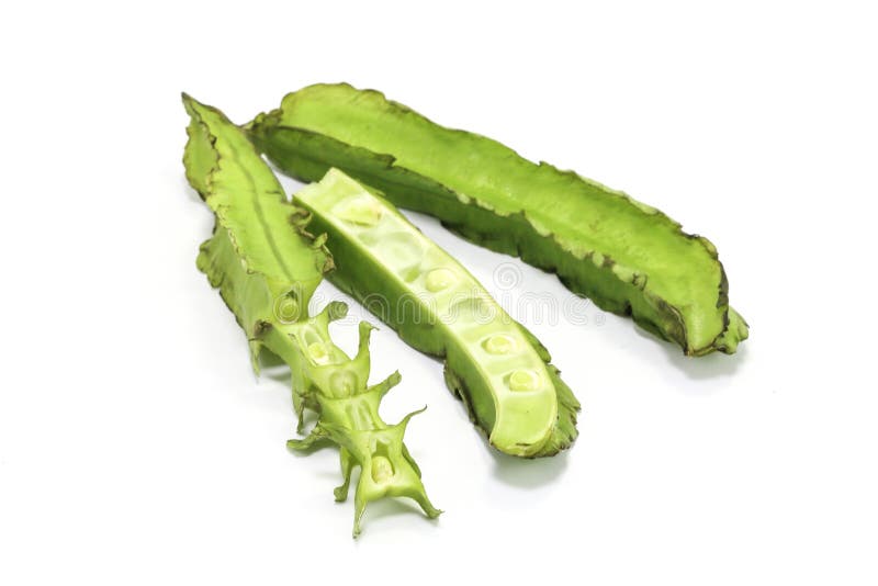 Winged Bean Goa bean stock photo. Image of food, asparagus - 65002522
