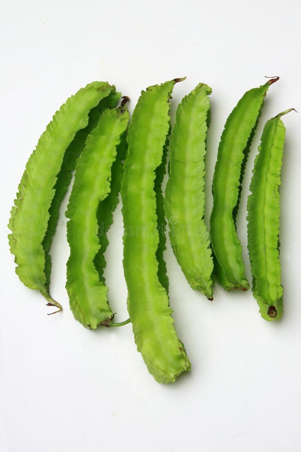 Winged beans stock image. Image of produce, fresh, young - 21590481